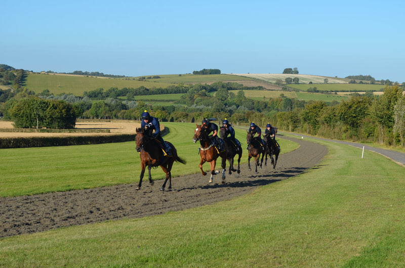 IJF Lot 8 Jack Daw's Castle Tour – The Nook On Five - Cheltenham's ...
